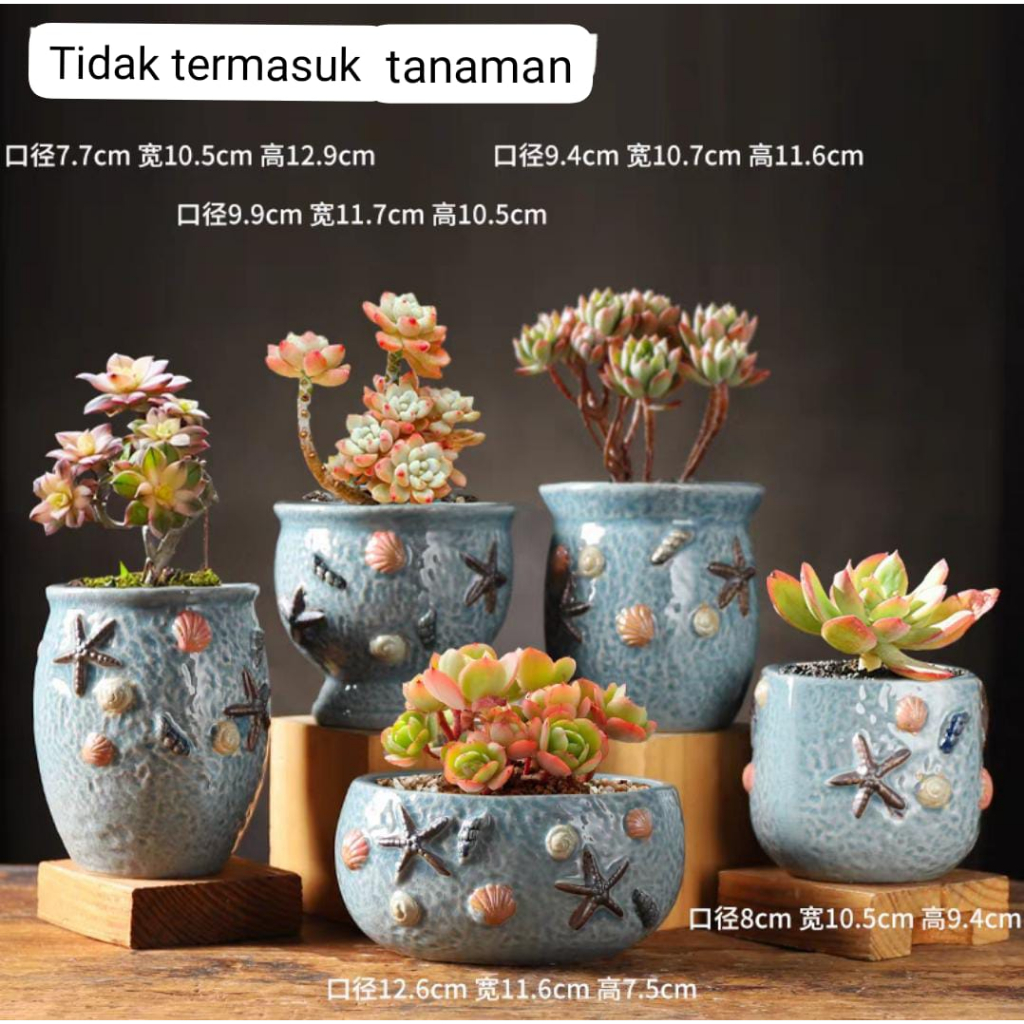 Jual Ecer Pot Keramik tema Ocean | Shopee Indonesia