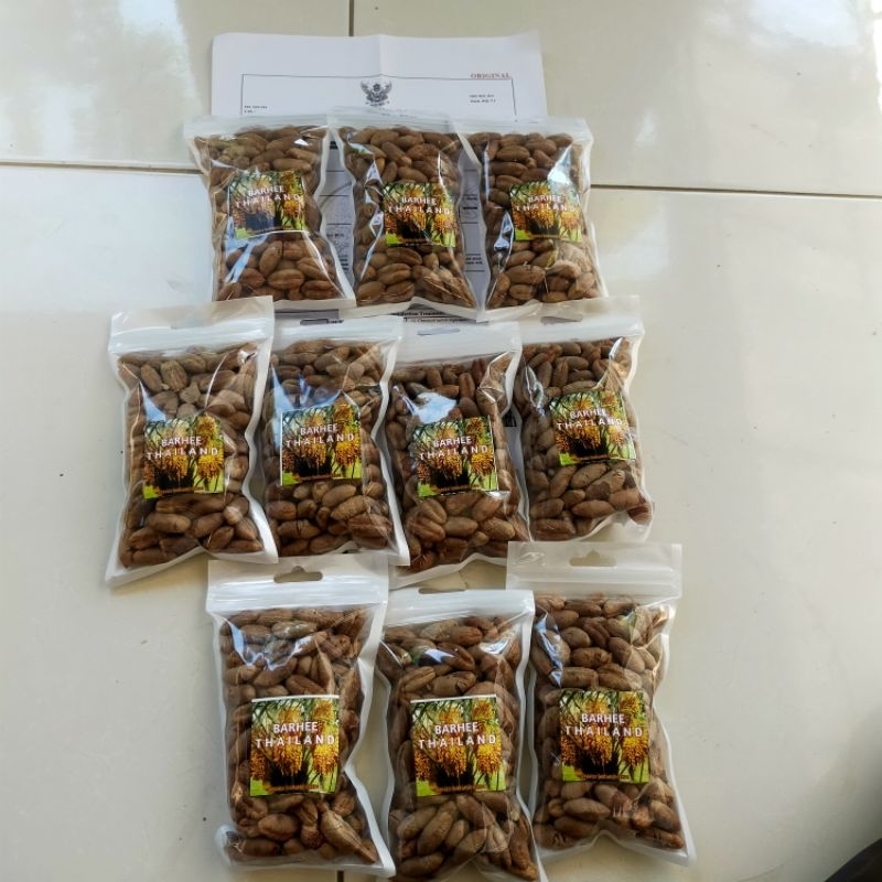 Jual Biji Kurma Thailand bersertifikat varietas Barhee ( biji barhee ...