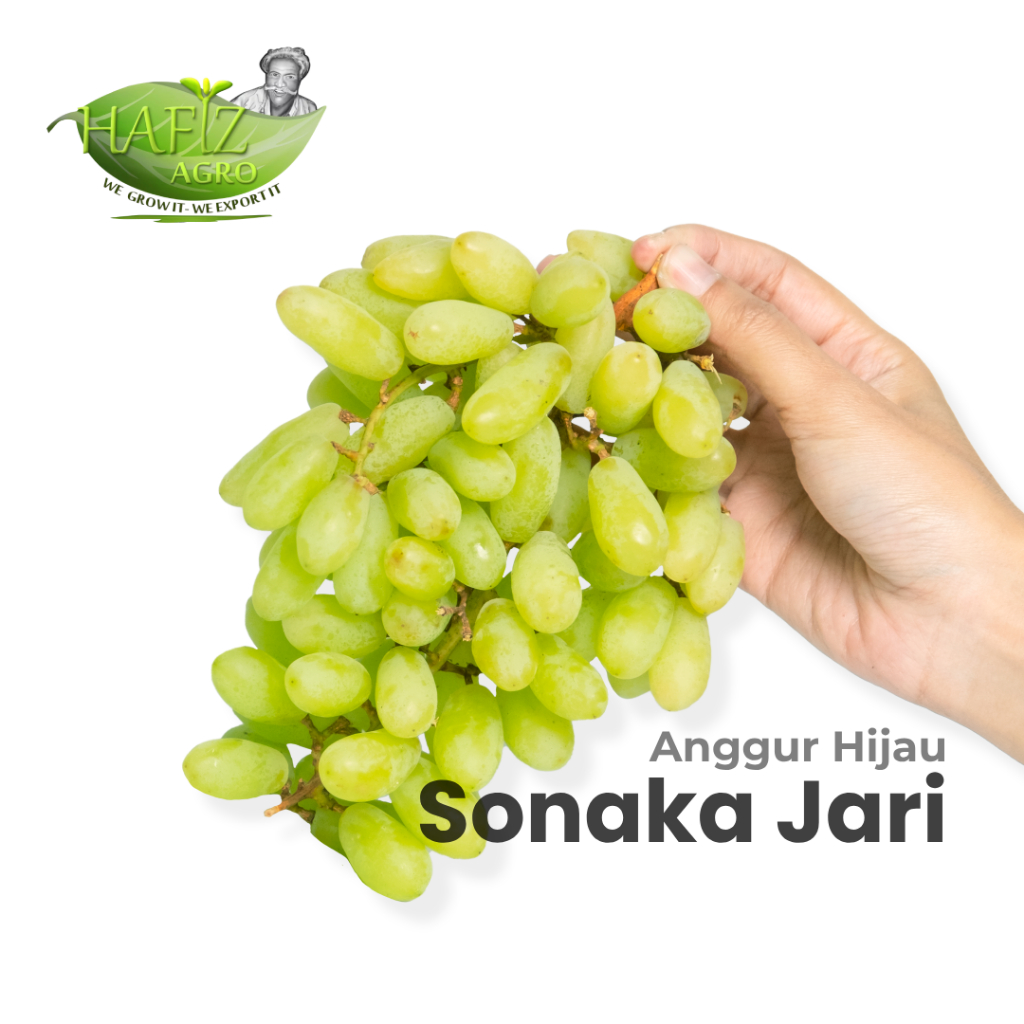 Jual Anggur Sonaka, Anggur Hijau Import Tanpa Biji Rasa Lebih Manis dari Varian Lain (1 dos=4 ...