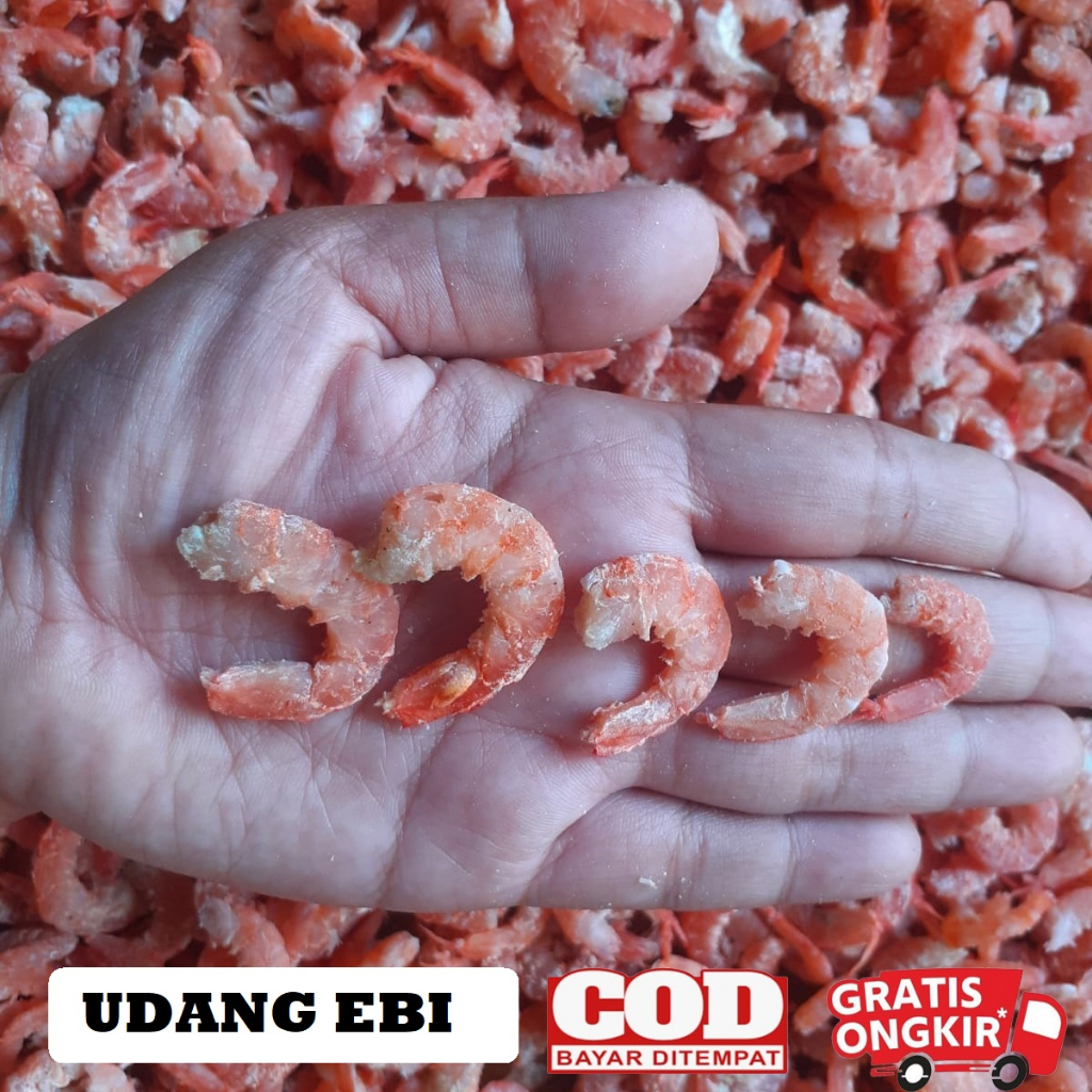 Jual Ebi daging 1 KG / Udang Ebi kering hebi | Shopee Indonesia