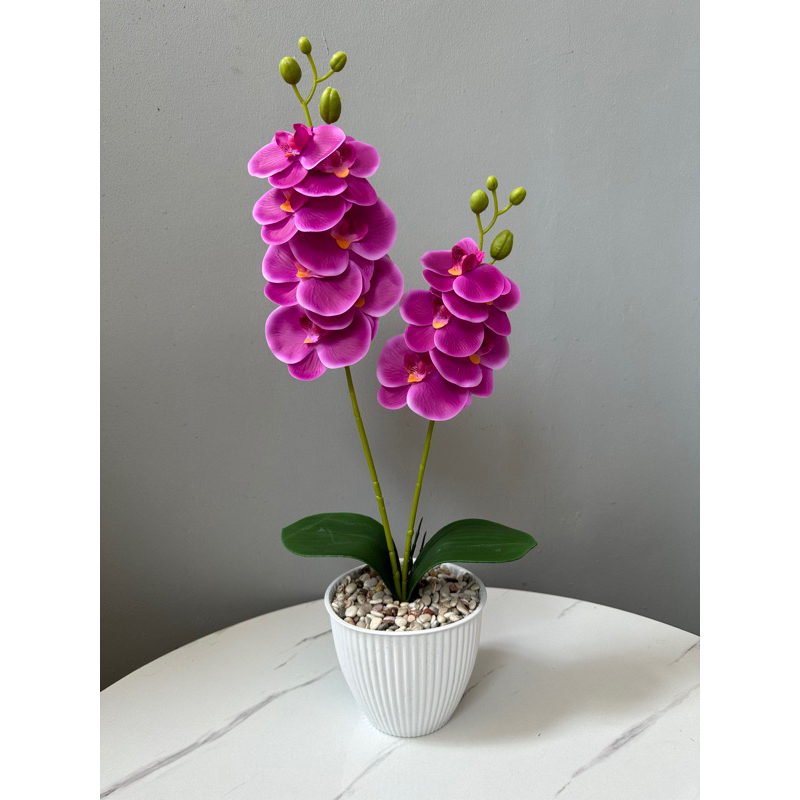 Jual BUNGA ANGGREK 2CABANG SEMI LATEX ARTIFICIAL POT KERANG(sudah+pot ...