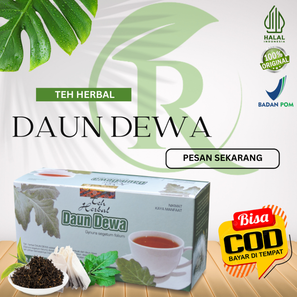 Jual Obat Kesehatan Teh Daun Dewa terbuat dari bahan alami yaitu daun ...