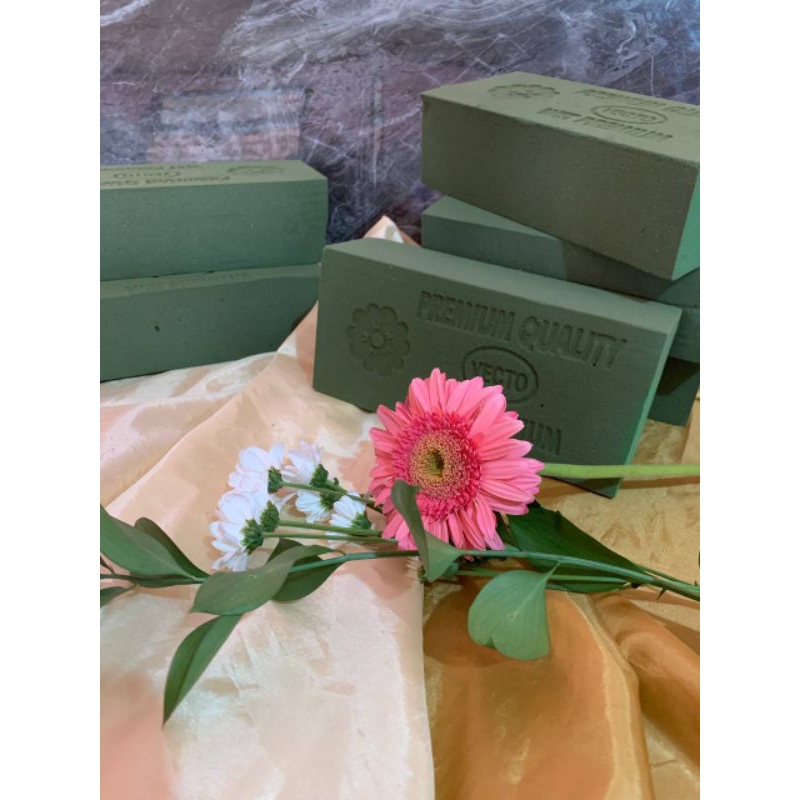 Jual oasis basah premium quality | Shopee Indonesia
