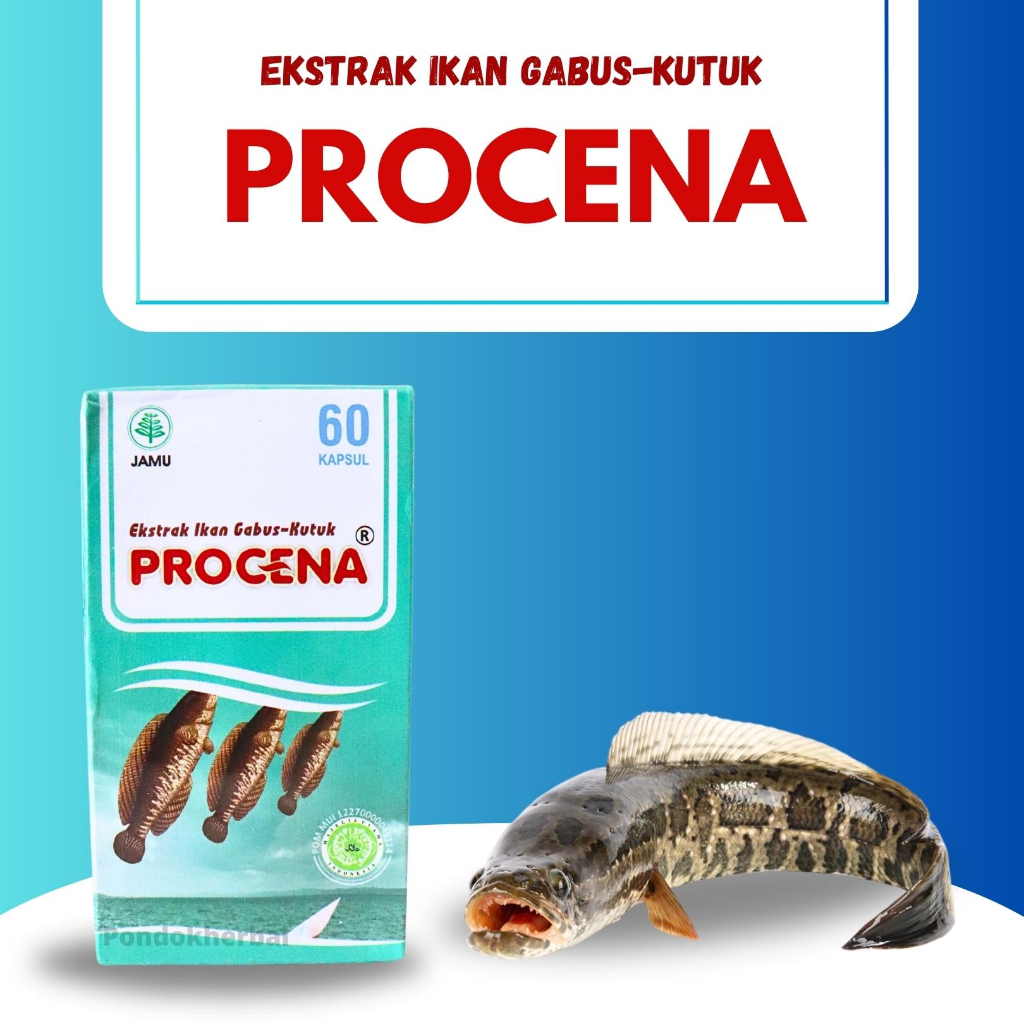 Jual PROCENA EKSTRAK IKAN GABUS KUTUK 60 KAPSUL - Herbal Penyembuhan ...