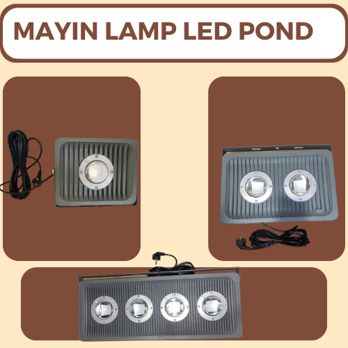 Jual Mayin Lamp LED Pond Lampu Kolam Ikan / koi | Shopee Indonesia