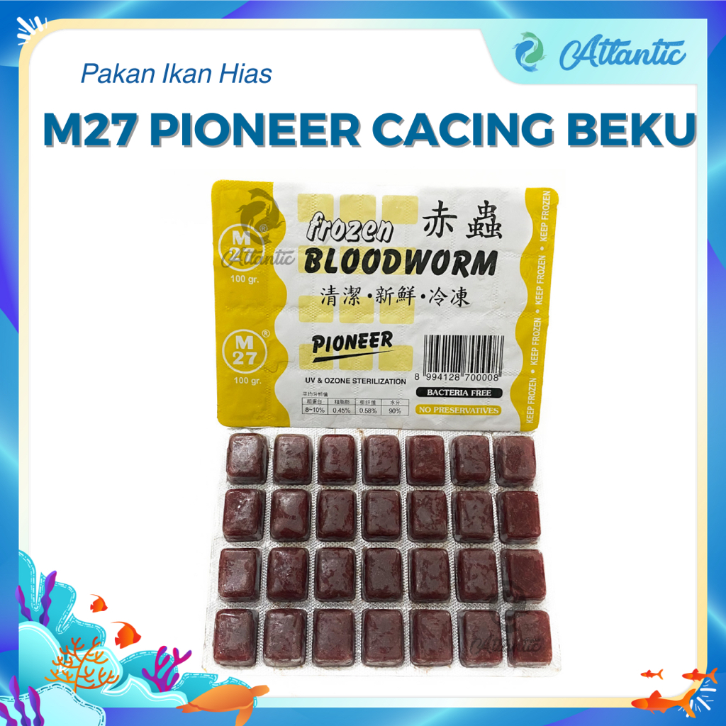 Jual M27 Pioneer Frozen Bloodworm Cacing Beku Alami Pakan Ikan Cupang ...