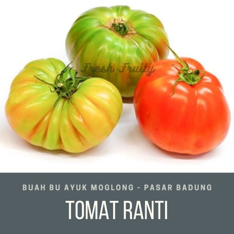 Jual tomat ranti atau heirloom tomato | Shopee Indonesia