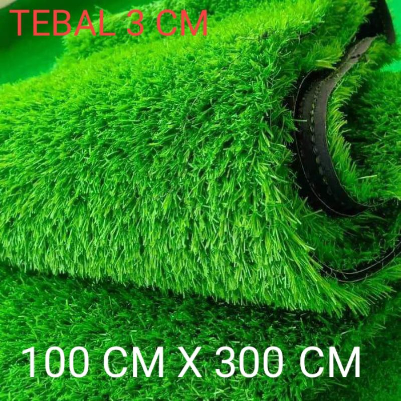 Jual 1 roll rumput sintetis type swiss 3 cm/ L 100 X P 300 | Shopee ...