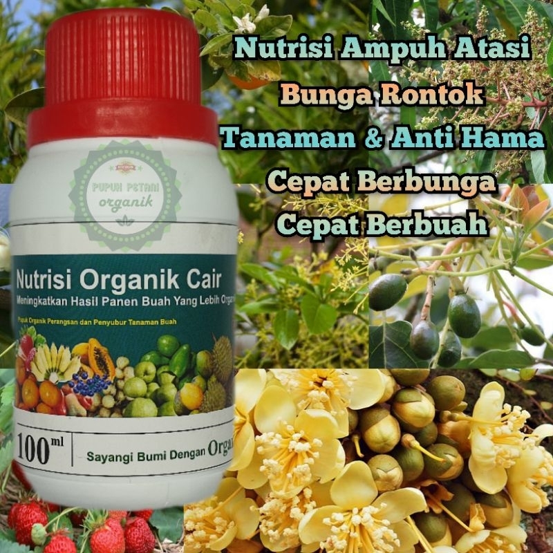 Jual Pupuk Organik Nutrisi Tanaman Buah Buahan Atasi Rontok Daun ...