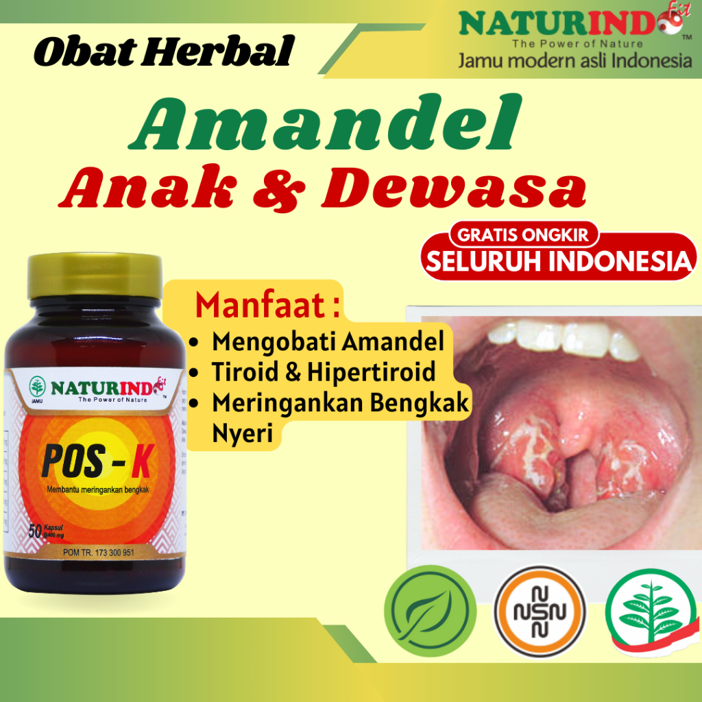 Jual Obat Amandel Untuk Anak Dan Dewasa Paling Ampuh Radang Tenggorokan Kelenjar Getah Bening ...