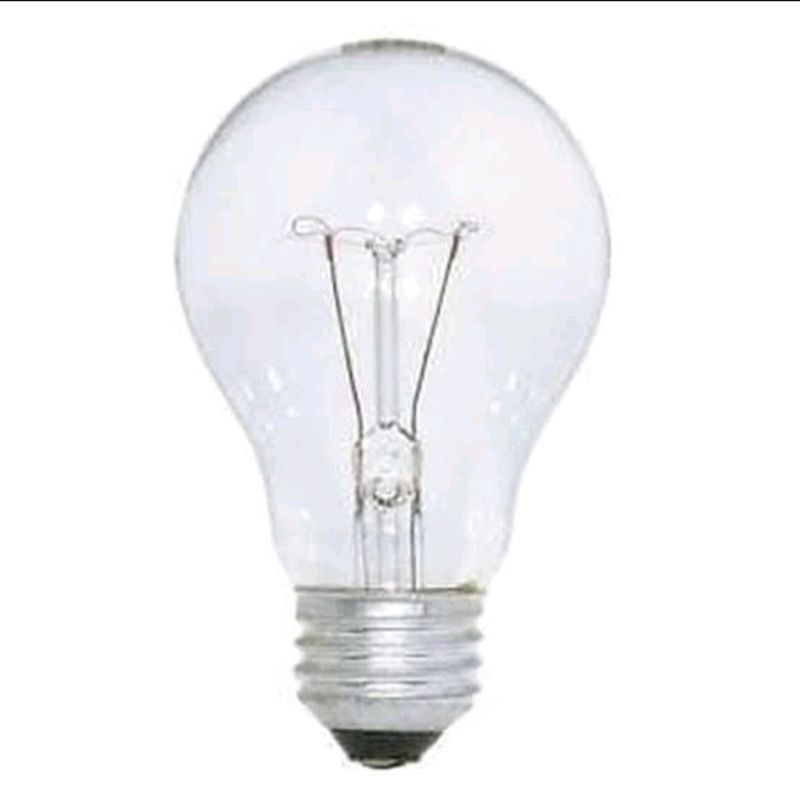 Jual bohlam / lampu kuning / lampu lama / lampu ayam / bolam kuning ...