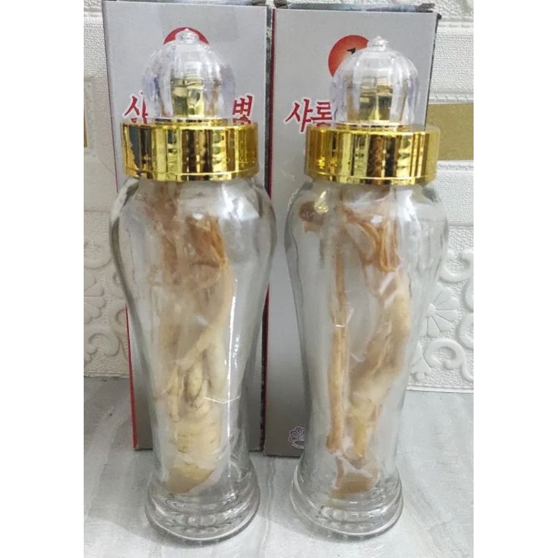Jual botol tabung panjang 37 cm original asli khusus gingseng | Shopee ...