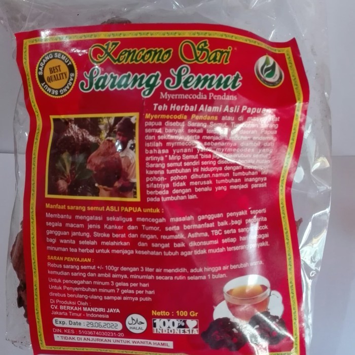 Jual Sarang Semut Kencono Sari 100gr Asli Papua | Shopee Indonesia