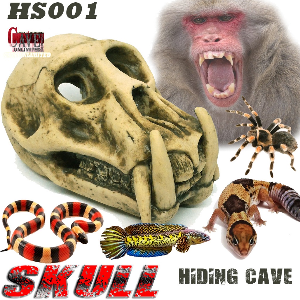 Jual HS001 HIDINGCAVE SKULL TENGKORAK BABON MONYET MONKEY HIDDING CAVE ...