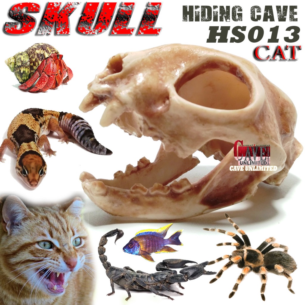 Jual HS014 HIDING SKULL CAVE TENGKORAK KEPALA KUCING CAT ORNAMEN ...