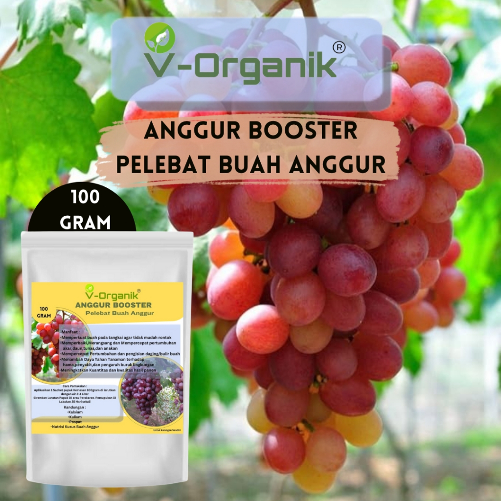 Jual Pupuk Booster Anggur Pelebat Buah Anggur | Shopee Indonesia