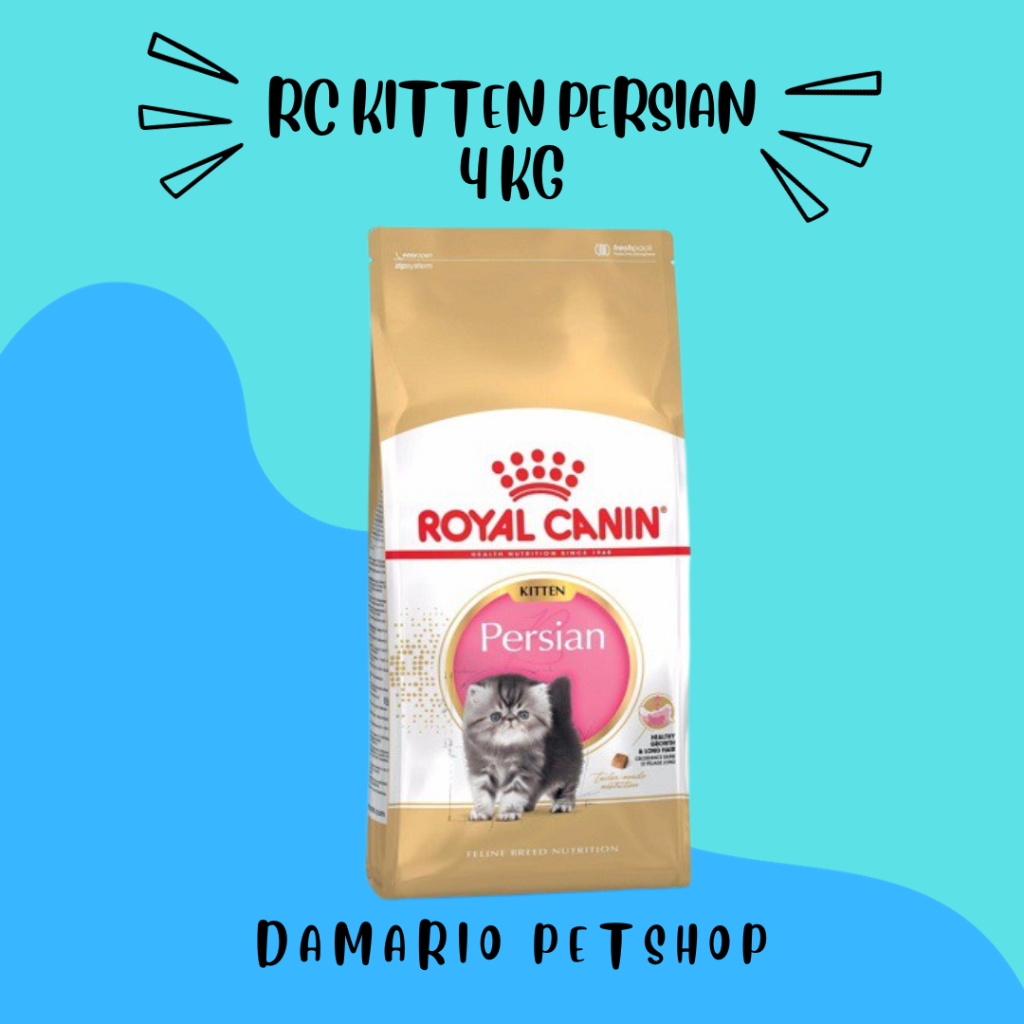 Jual Rc Royal Canin 32 Kitten Persia 4 Kg Kemasan Freshpack | Shopee ...