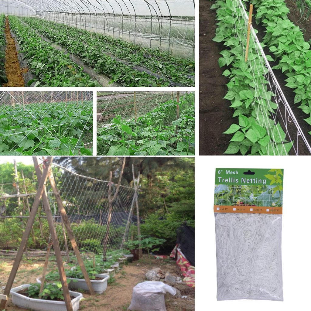 Jual Net Jaring Tanaman Rambat Plants Climbing Net Polyester 1.67x10M / Jaring Tanaman Rambat ...