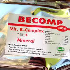Jual BECOMP BCOM SERBUK 500 GRAM RAID-ALL VITAMIN B KOMPLEK LENGKAP ...