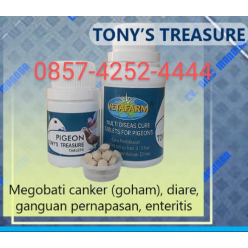 Jual TONY'S TREASURE TAB | Shopee Indonesia