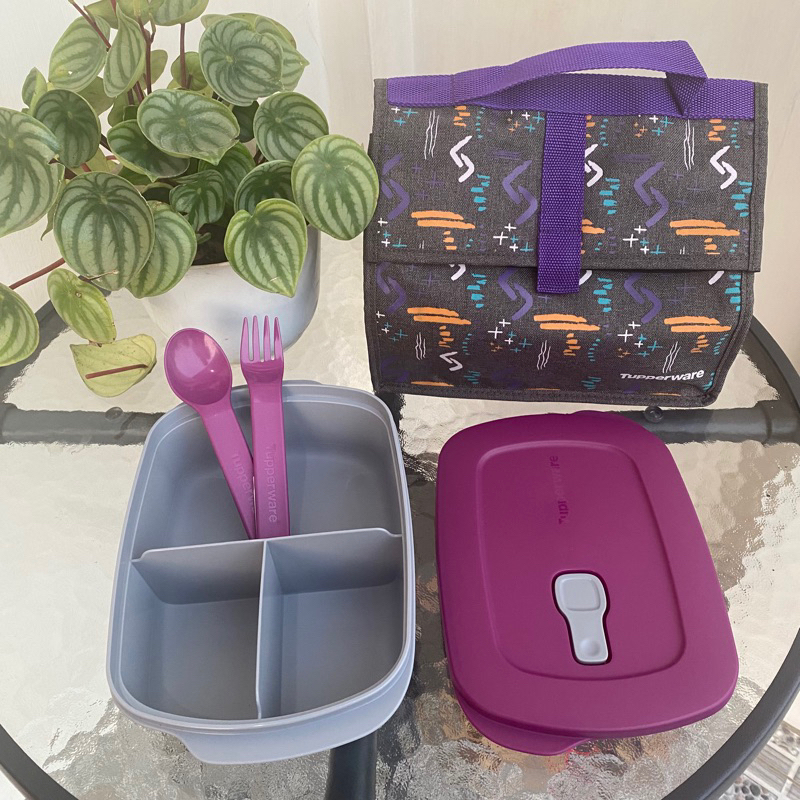 Jual Bekal Tupperware BYO lunch set | Shopee Indonesia