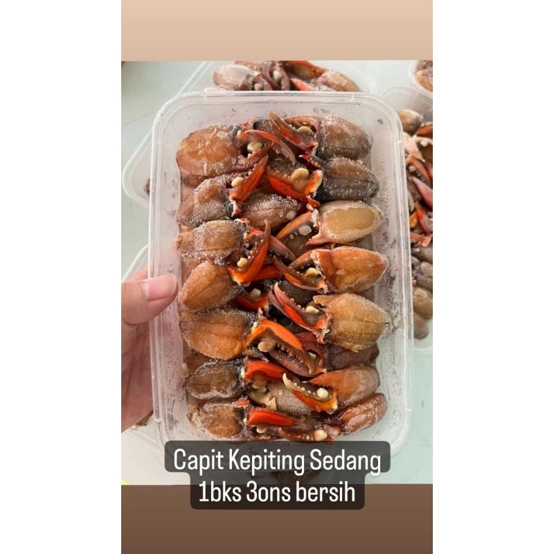 Jual Capit Kepiting Sedang | Shopee Indonesia