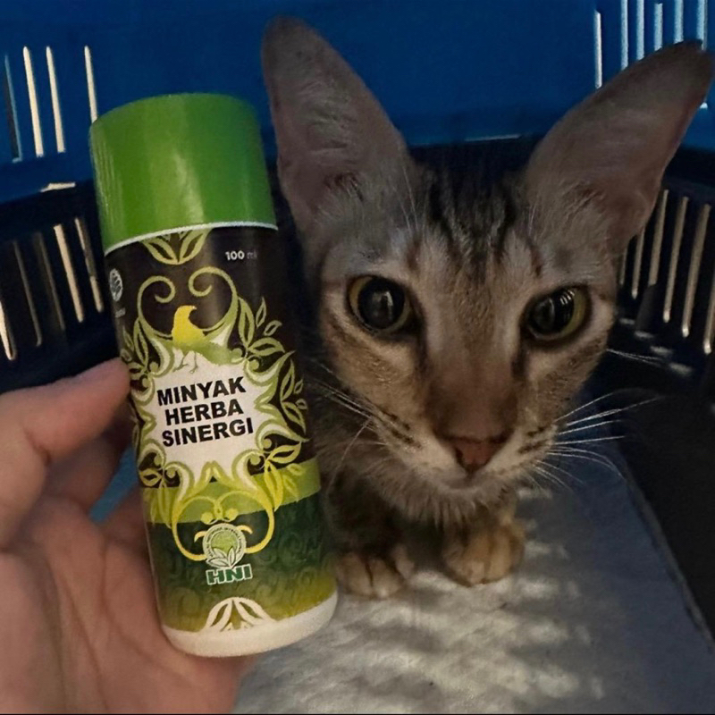 Jual Minyak Herba Sinergi (MHS HNI HPAI) isi 100ml - Minyak oles untuk ...