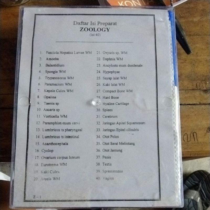 Jual preparat zoologi prepare hewan isi 40 slide alat peraga pendidikan ...