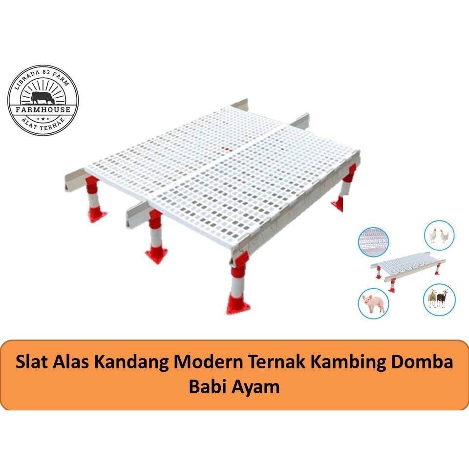 Jual Slat Alas Kandang Ayam Kambing Domba Lantai Pijakan Modern Ternak Best Seller | Shopee ...