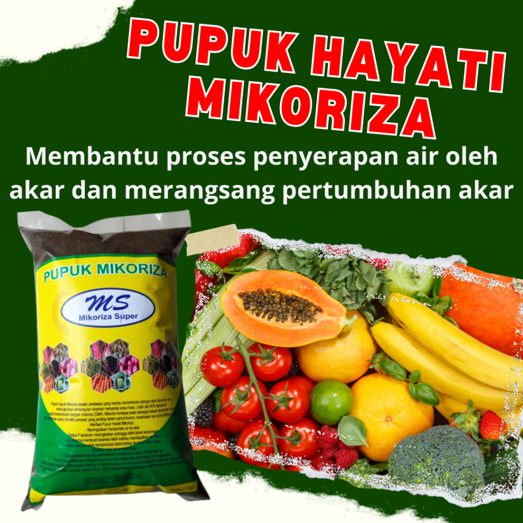 Jual Pupuk Jamur Mikoriza Untuk Kelapa Sawit, Pupuk Hayati Mikoriza 1 ...