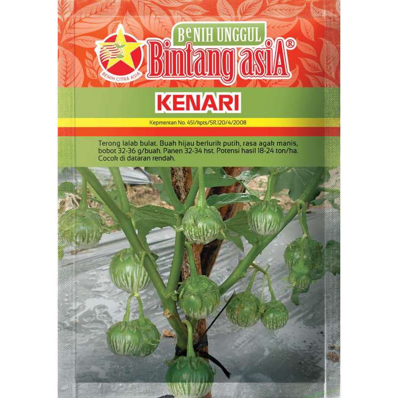 Jual Benih Bibit Terong Kenari 10gr / BCA | Shopee Indonesia