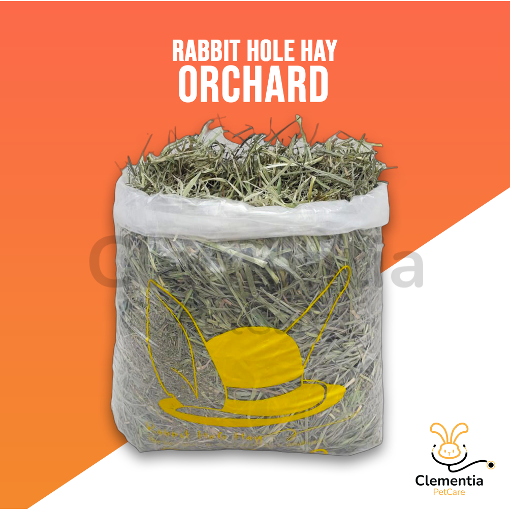 Jual RABBIT HOLE HAY Orchard 1 Kg - Rumput Hay Orchard Makanan Kelinci ...