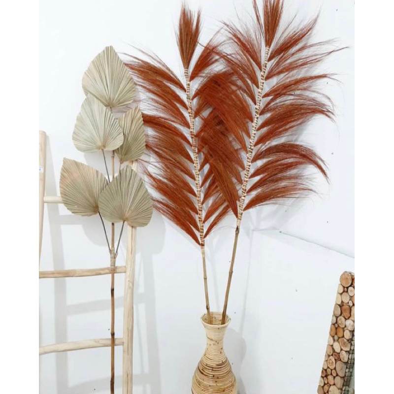 Jual PAKET LENGKAP BUNGA KERING & VAS TINGGI 50cm | Shopee Indonesia