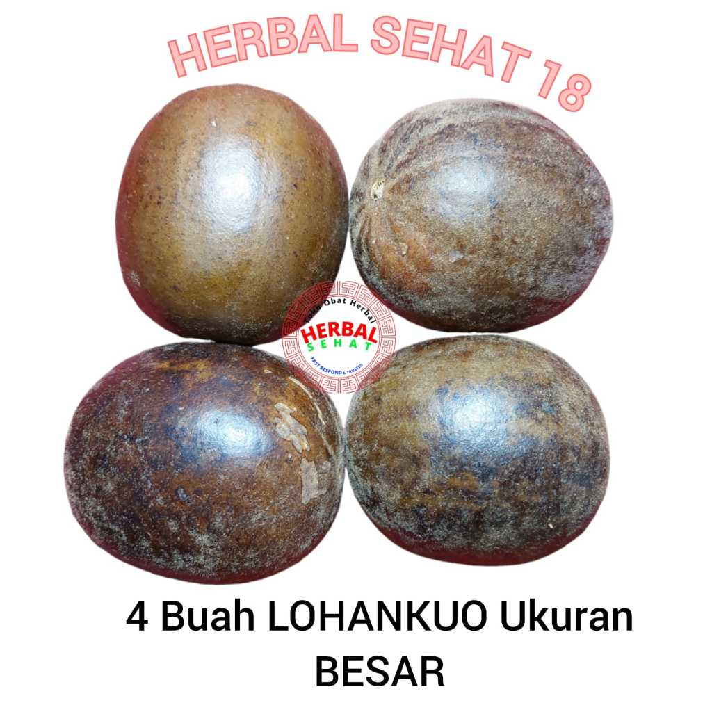 Jual 4 Biji Lo Han Kuo / Buah Lo Han Kuo / Lohanko / Luohanko Luohanguo ...
