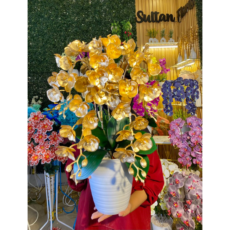 Jual ANGGREK GOLD SULTAN JUMBO | Shopee Indonesia