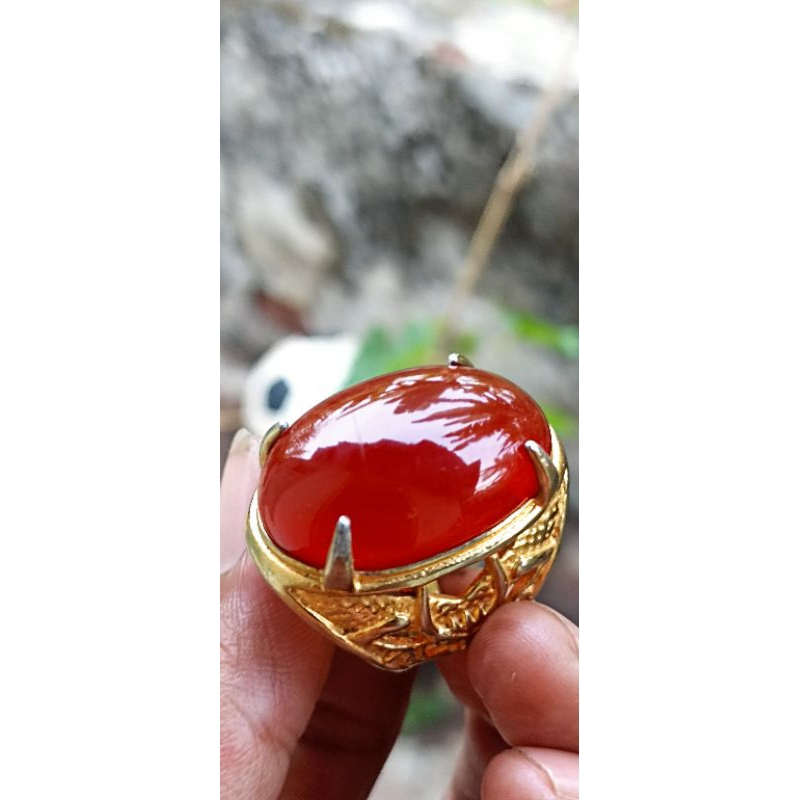 Jual akik darah rafflesia cempaka bengkulu | Shopee Indonesia
