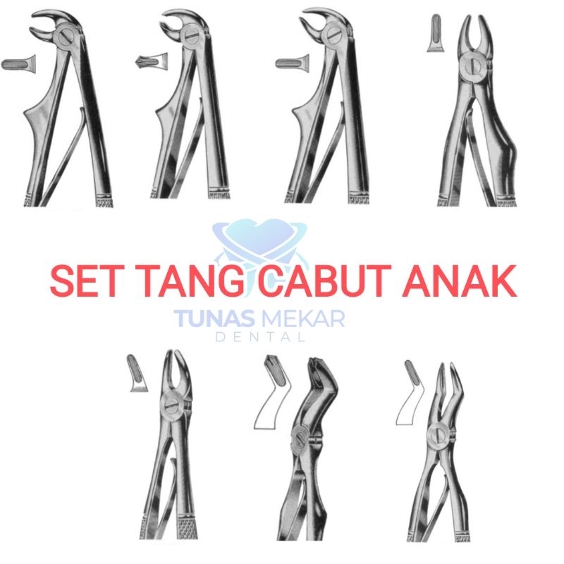 Jual Dental Tang Cabut Gigi Anak Forceps Child Set isi 7pcs | Shopee ...
