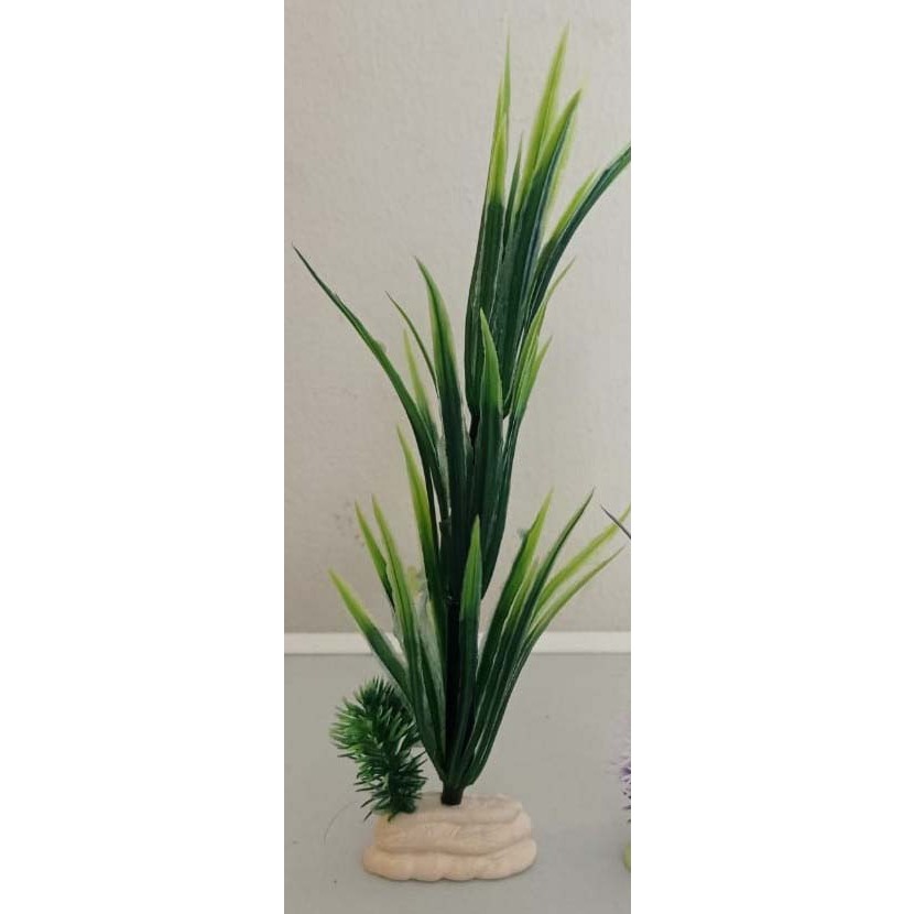 Jual Hiasan aquarium rumput ilalang panjang, rumput ilalang panjang ...