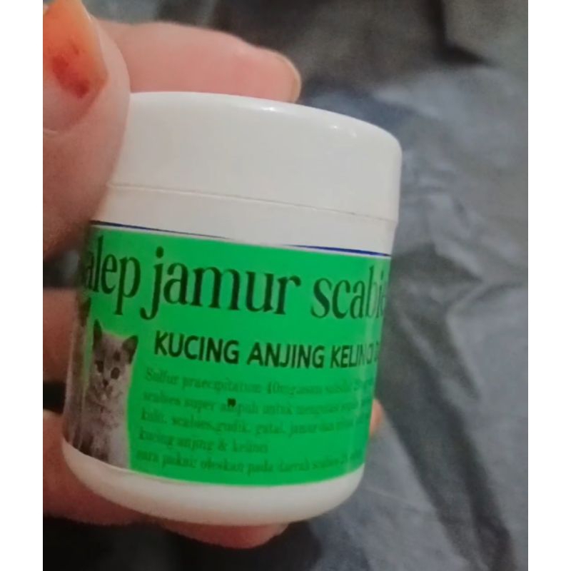 Jual salep jamur,scabies, dan semua masalah kulit kucing | Shopee Indonesia