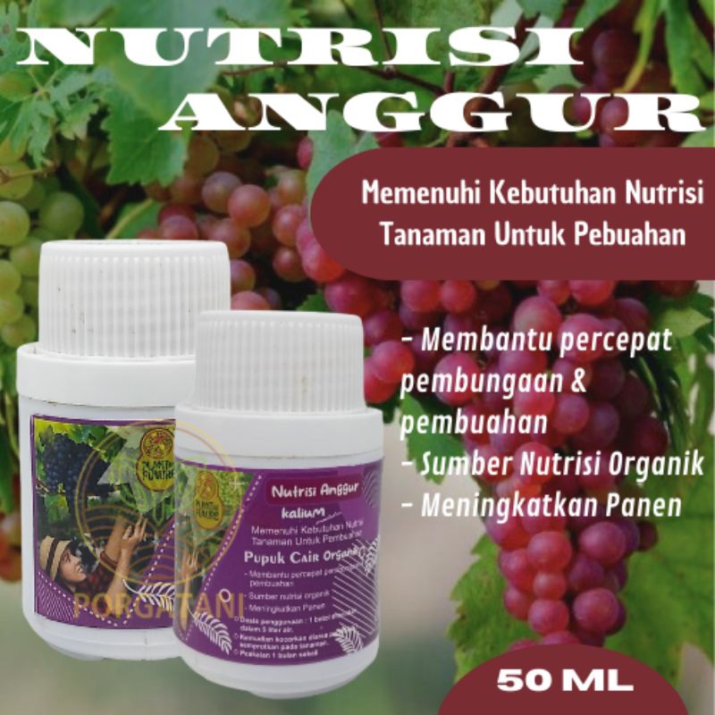 Jual Pupuk organik cair anggur 50 ml unggulan pupuk cair booster anggur pemicu tumbuh bunga dan ...