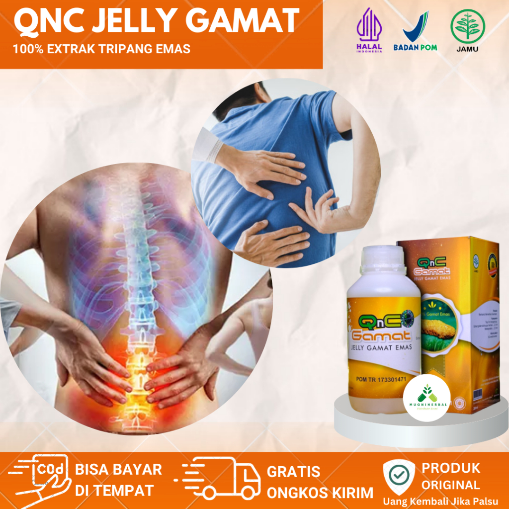 Jual Qnc Jelly Gamat Obat Saraf Kejepit, Sakit Pingang, Nyeri Sendi ...