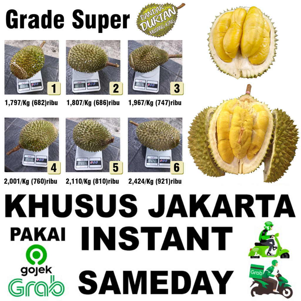 Jual Durian MUSANGKING Grade Super Asli Malaysia/Durian Sultan Musang King 1 Buah Utuh (Bukan ...