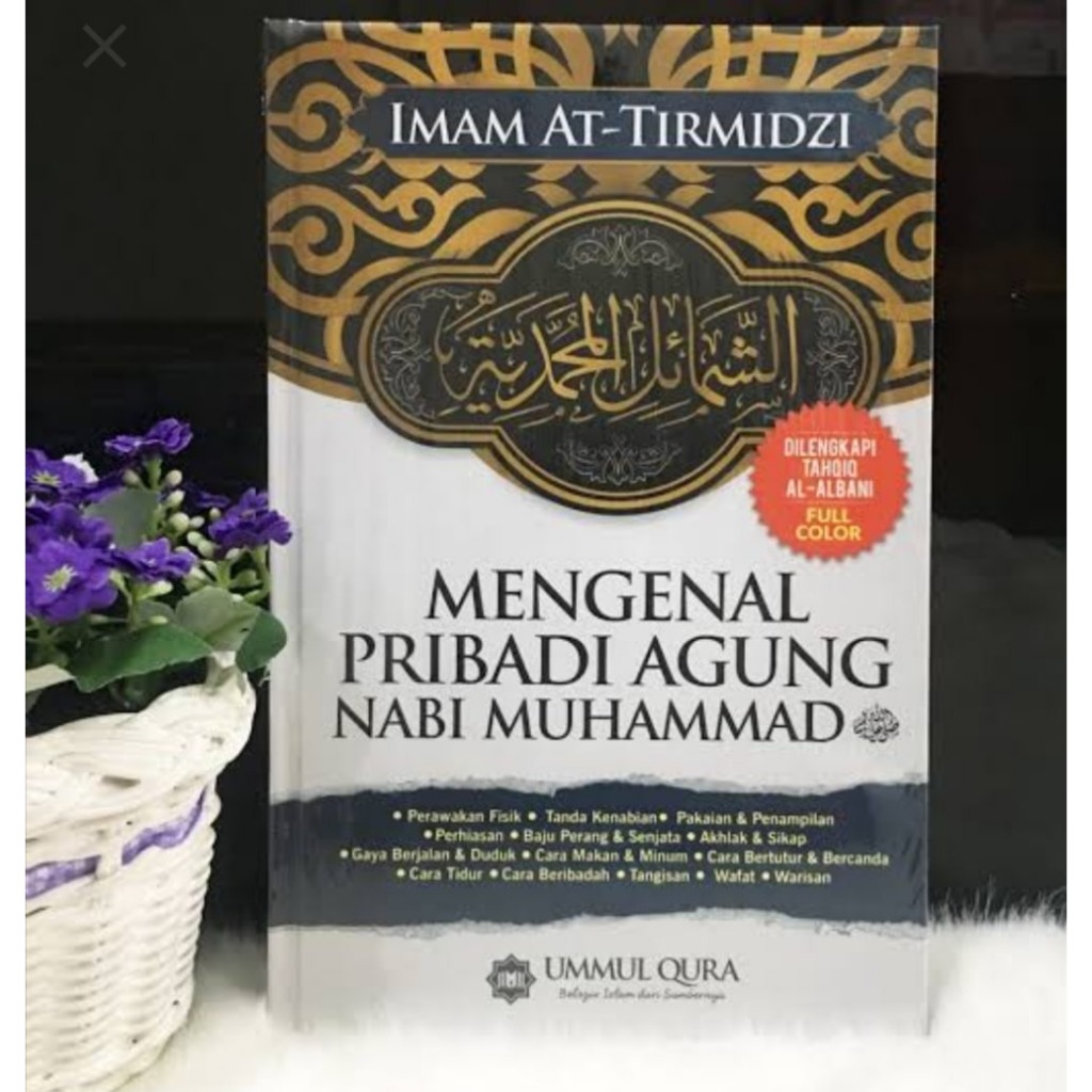 Jual MENGENAL PRIBADI AGUNG NABI MUHAMMAD | Shopee Indonesia