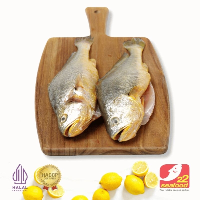 Jual Ikan Samge 500 gram WGGS / Bersih Tanpa Jeroan / Gulama Samge ...