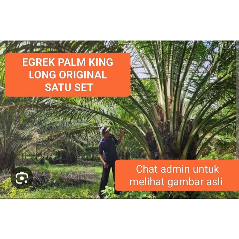 Jual HOLDER BESI+MATA PALAMKINGLONGORIGINAL | Shopee Indonesia