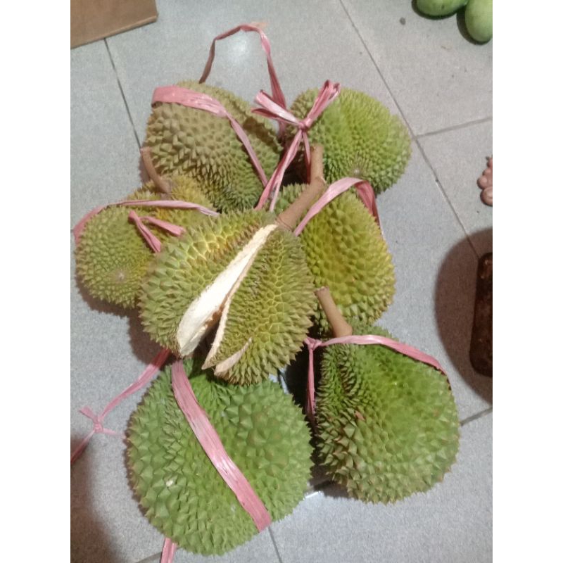 Jual Durian lumbang | Shopee Indonesia