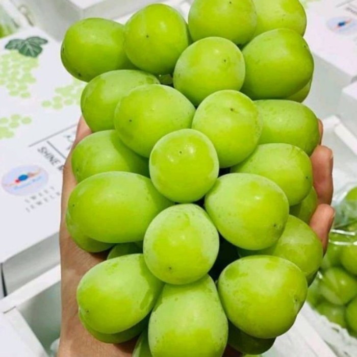 Jual Anggur Shine muscat curah 500gr / Jbp_fresh | Shopee Indonesia