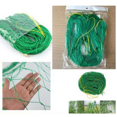 Jual Tali rambatan / jaring Rambatan Tanaman Plant Climbing | Shopee ...