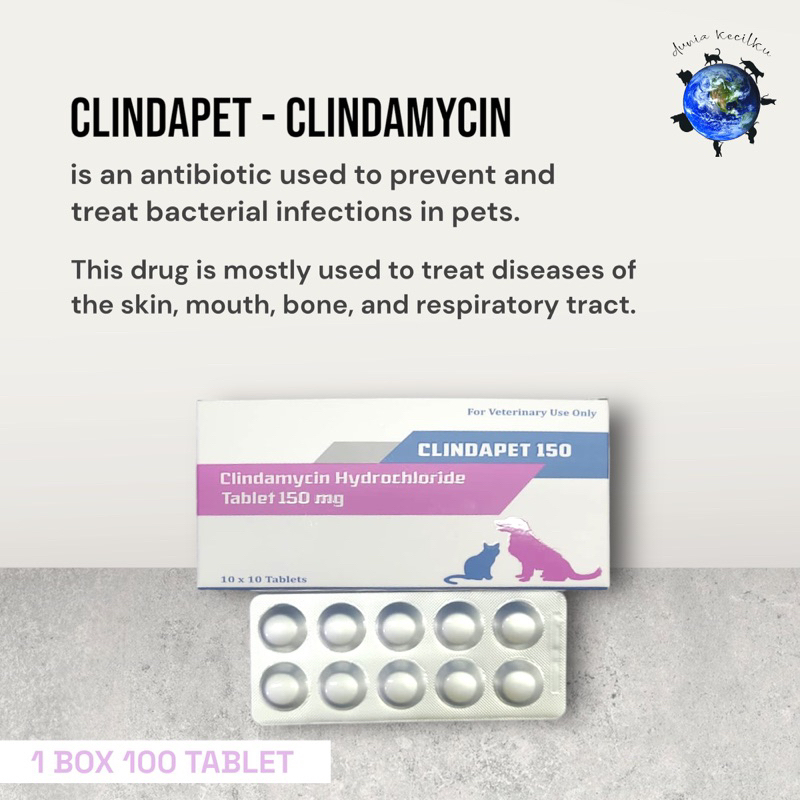 Jual Clindapet 150 For Cats & Dogs - Anti Bakteri / Infeksi (1 BOX 100 ...