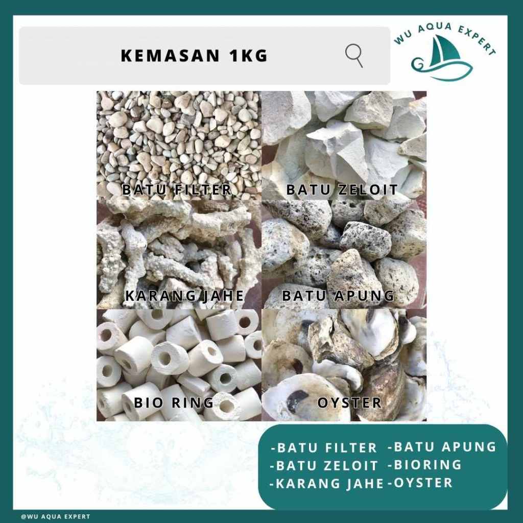 Jual 1 Kg KARANG JAHE, ZEOLIT, BATU FILTER, BATU APUNG, OYSTER KULIT ...